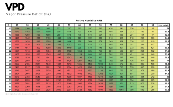 What Is VPD - All You Need To Know? | Growee