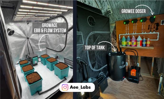 Moving from Soil to Hydroponics